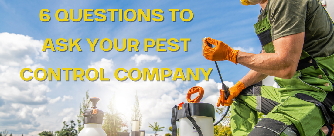 October 2022 Blogs | Exterminator Services in Hilton Head